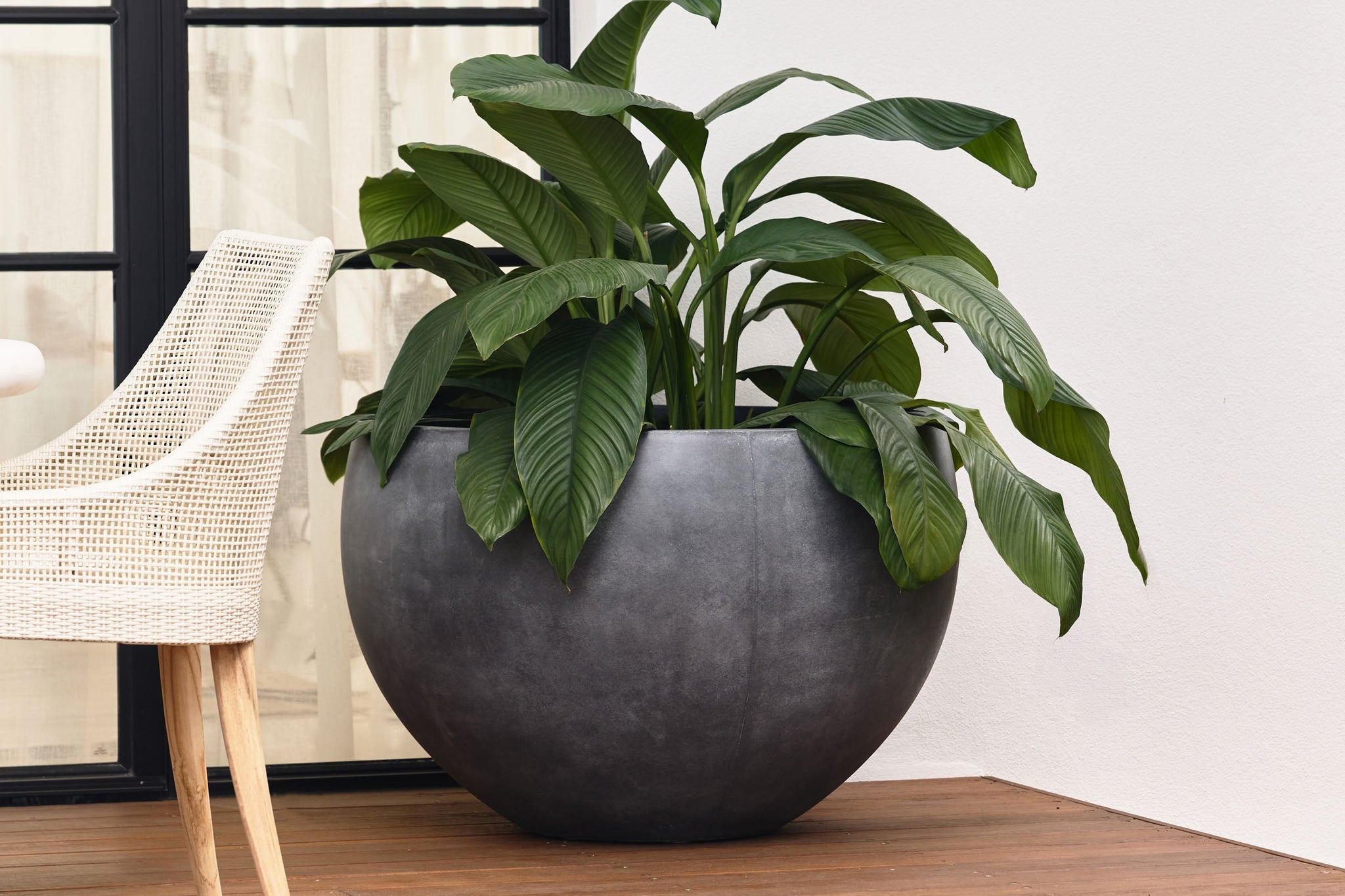 Large Pots & Planters for Indoor & Outdoor Spaces | Horgans
